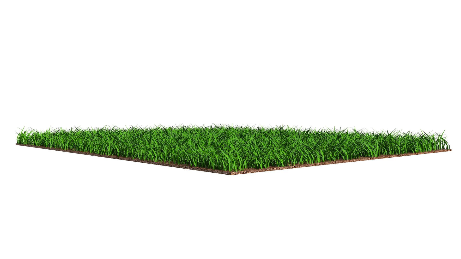 3D Grass Cross Sections Model - TurboSquid 2245091