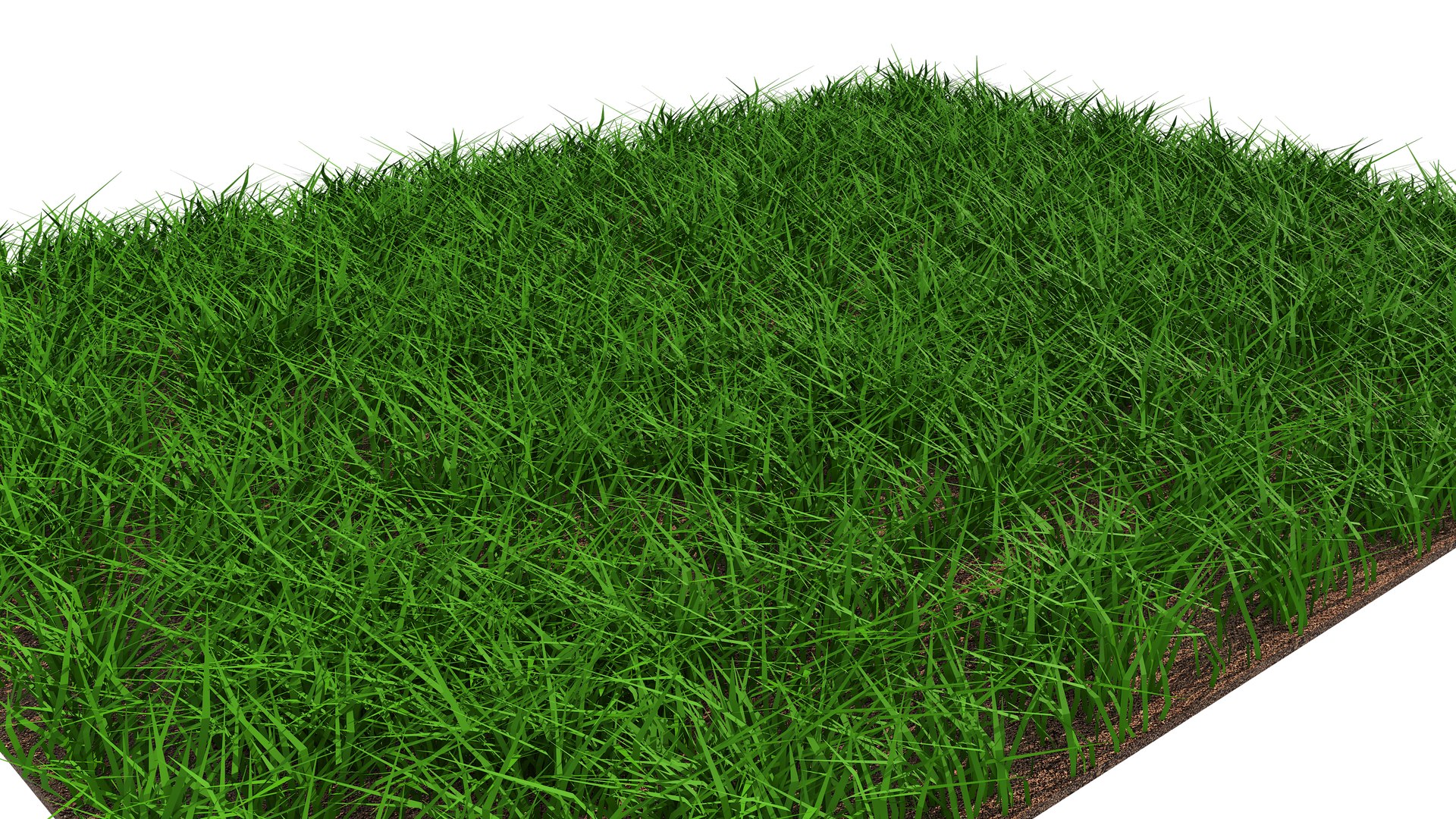 3D Grass Cross Sections Model - TurboSquid 2245091