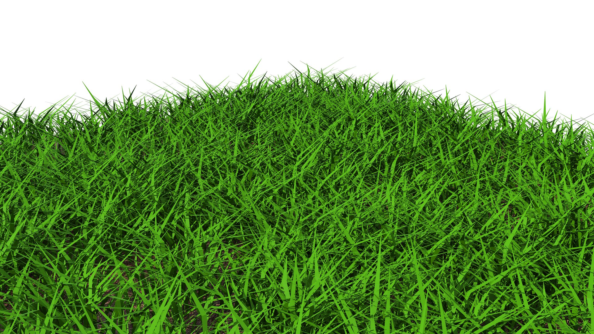 3D Grass Cross Sections Model - TurboSquid 2245091