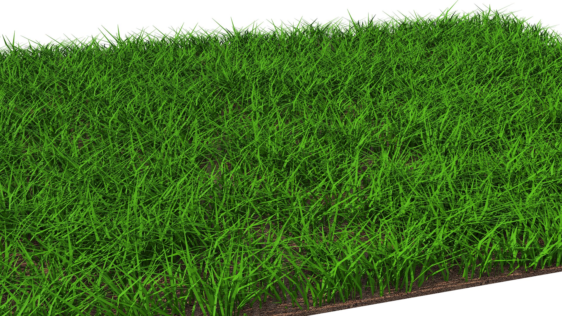 3D Grass Cross Sections Model - TurboSquid 2245091