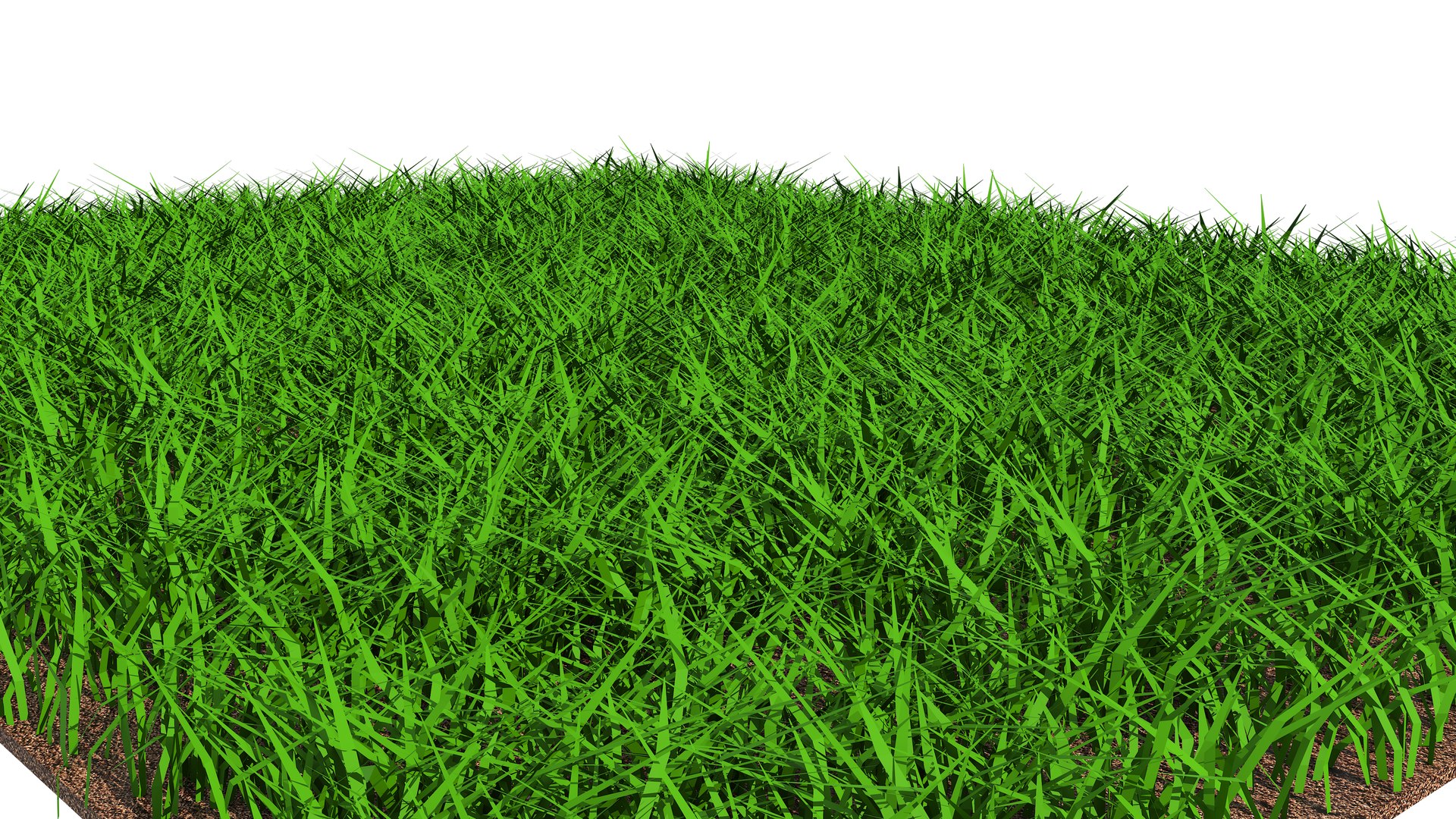 3D Grass Cross Sections Model - TurboSquid 2245091