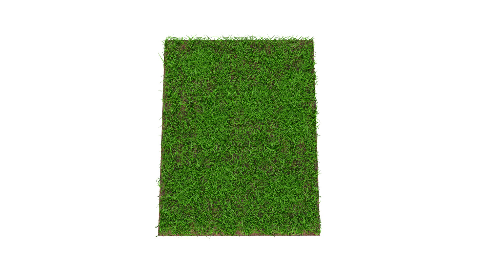 3D Grass Cross Sections Model - TurboSquid 2245091