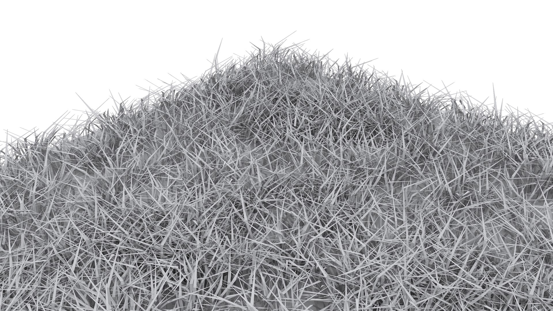 3D Grass Cross Sections Model - TurboSquid 2245091