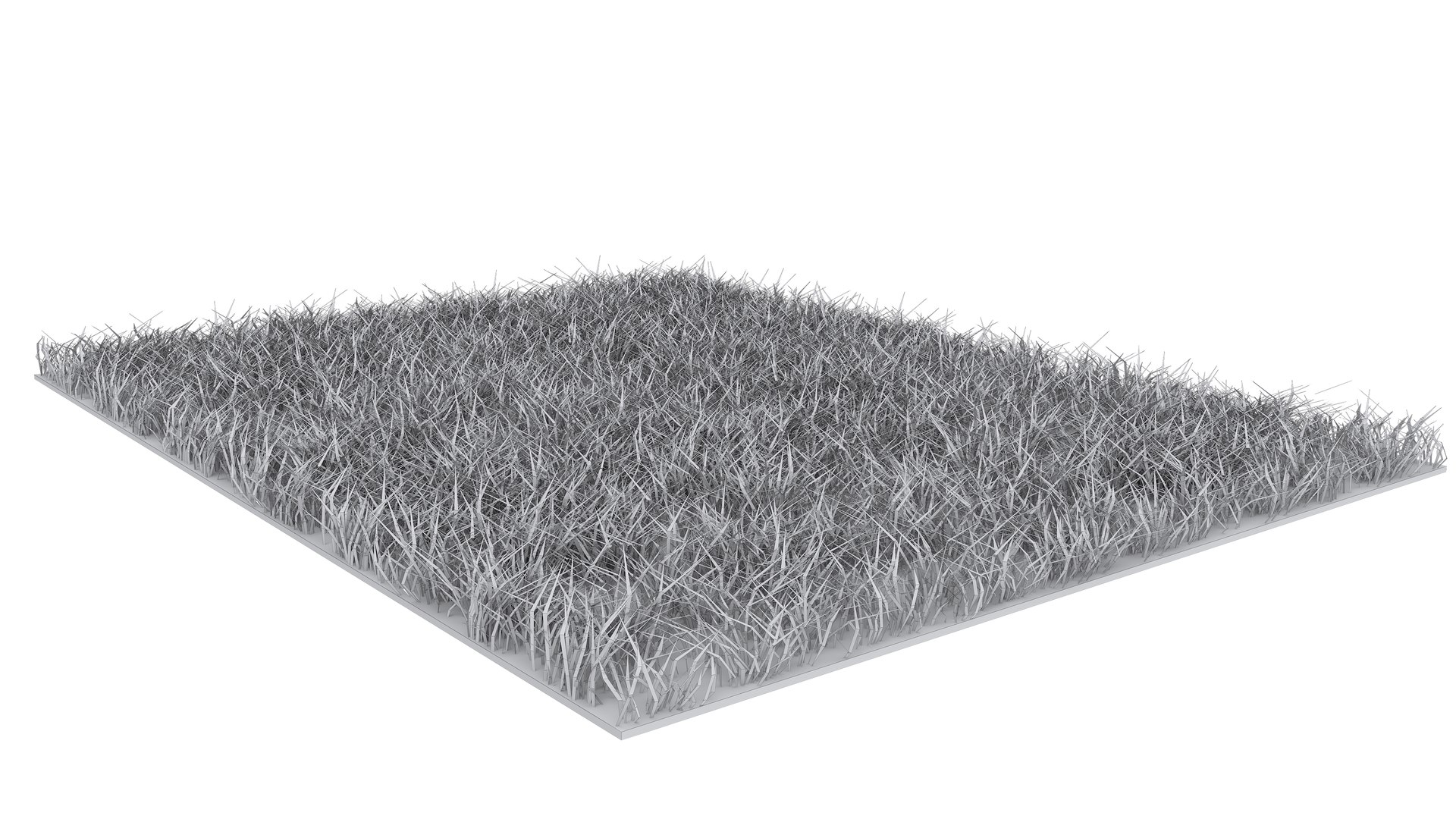 3D Grass Cross Sections Model - TurboSquid 2245091