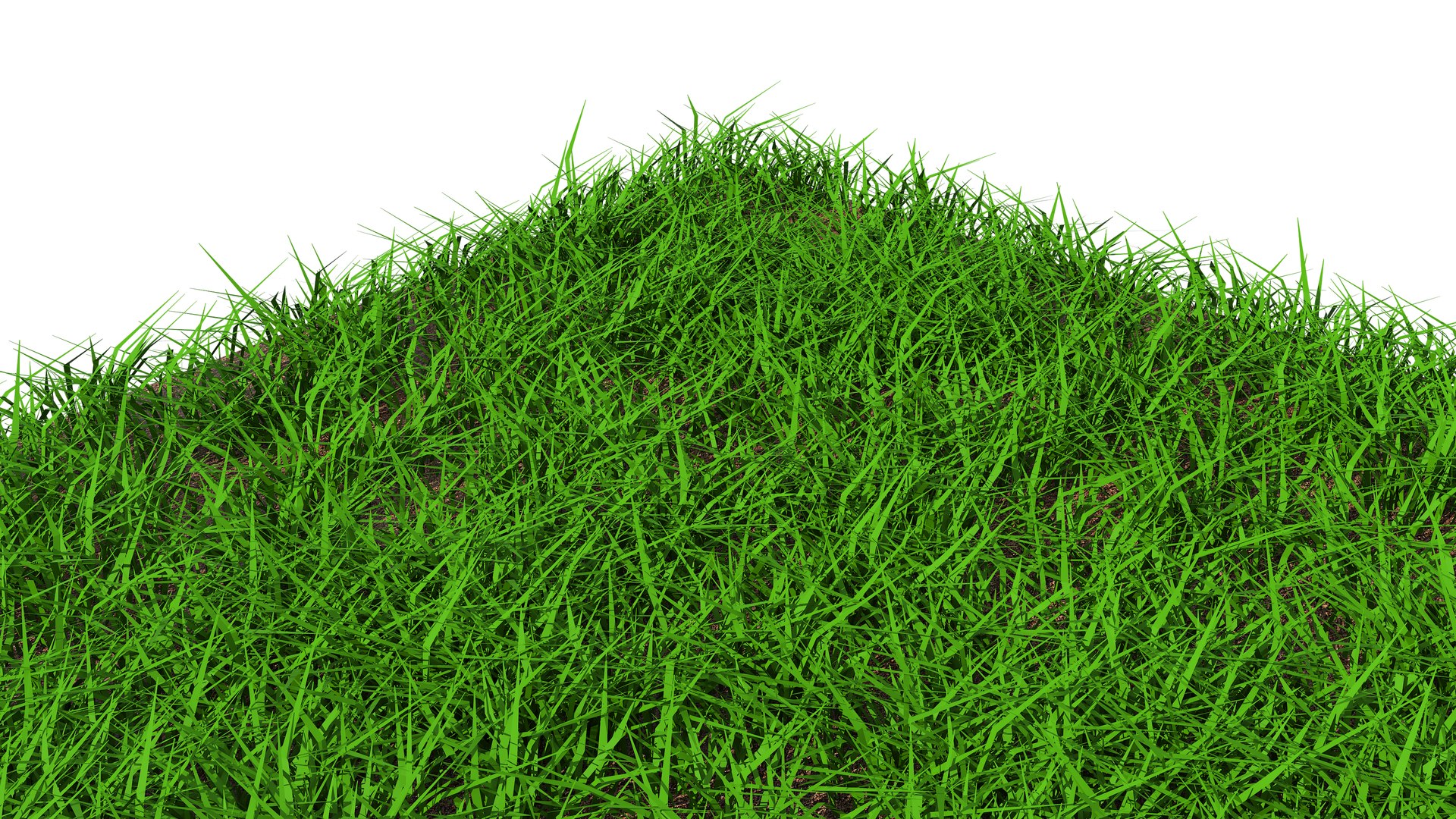 3D Grass Cross Sections Model - TurboSquid 2245091