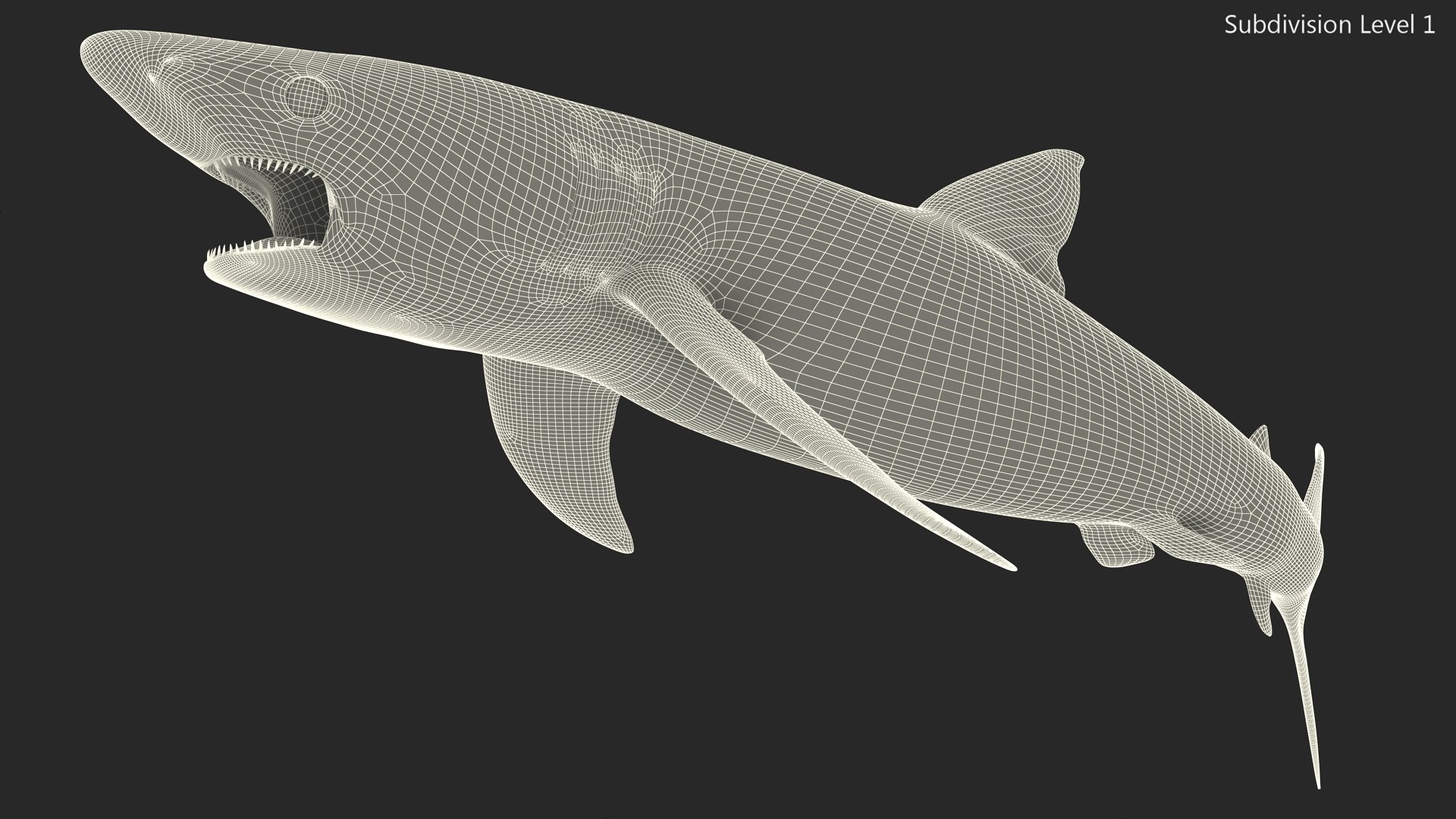 Great Blue Shark 3D Model - TurboSquid 2236296