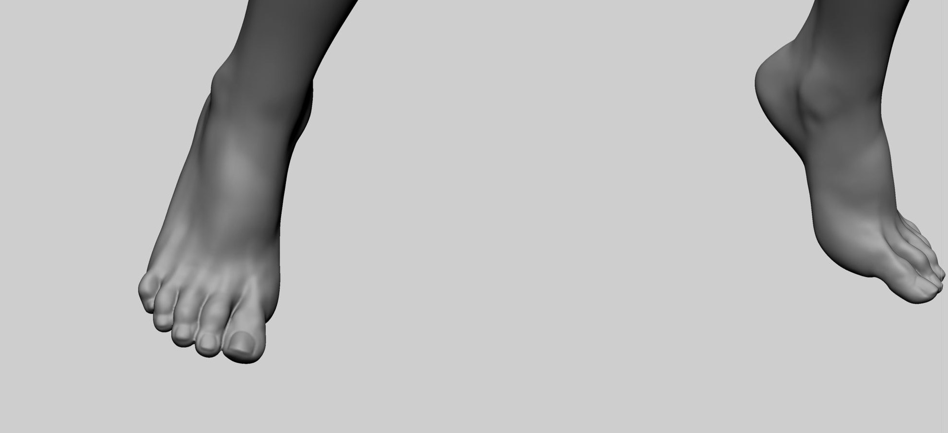 3D Female Anatomy A Model - TurboSquid 2199505