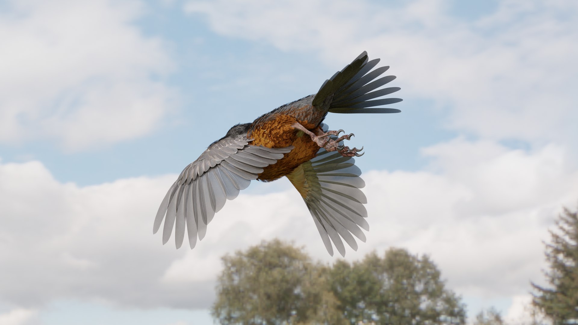 American Robin - BLENDER 3D Model - TurboSquid 2118146