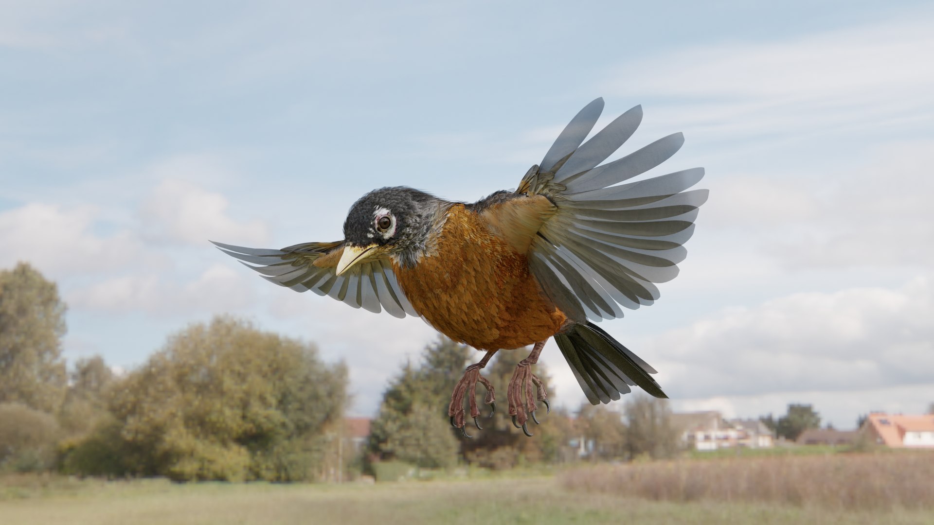 American Robin - BLENDER 3D Model - TurboSquid 2118146