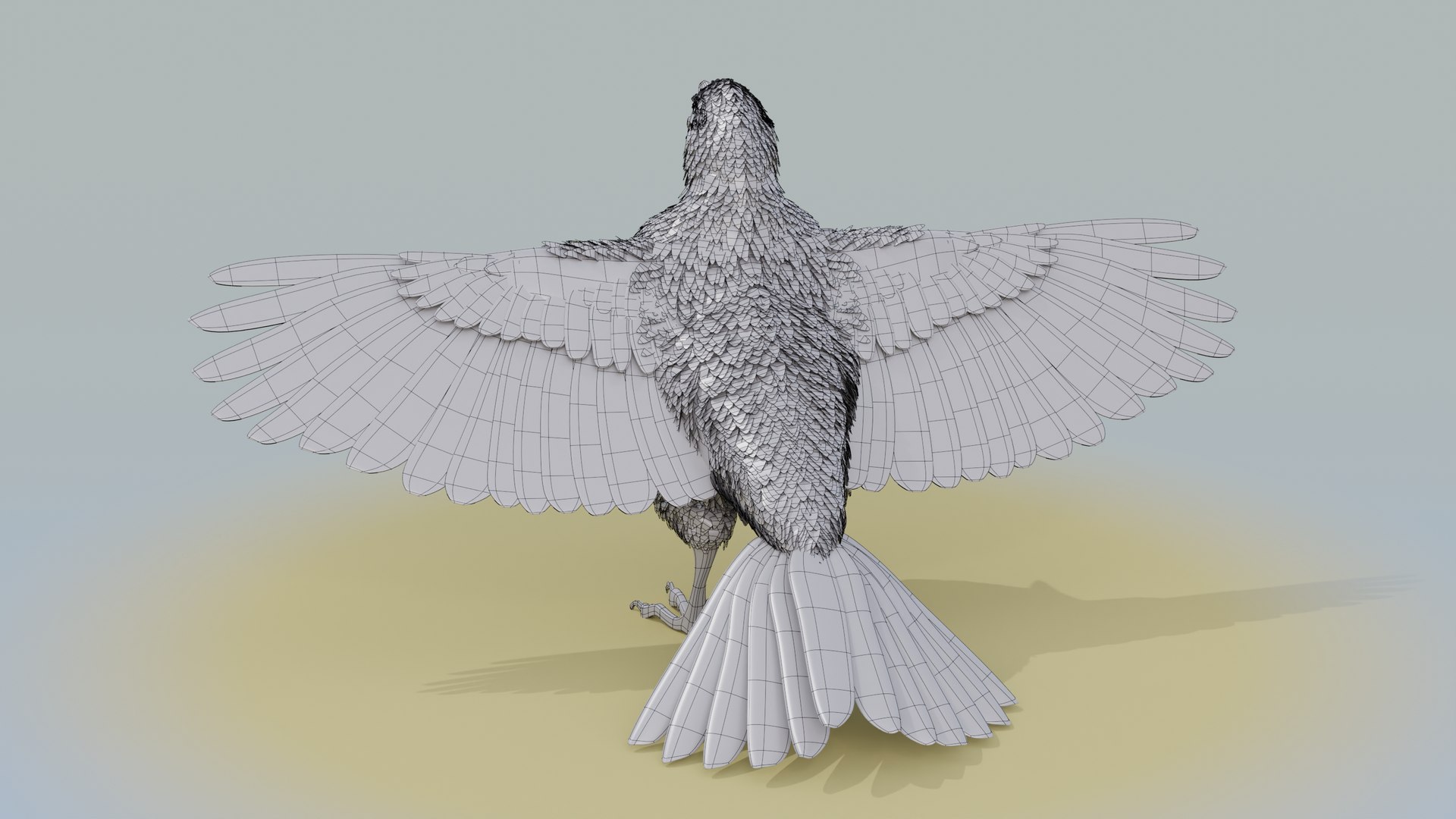 American Robin - BLENDER 3D Model - TurboSquid 2118146