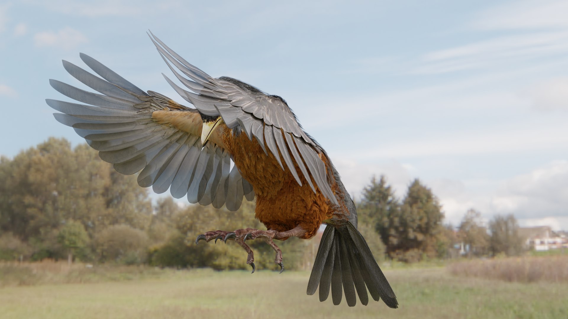 American Robin - BLENDER 3D Model - TurboSquid 2118146