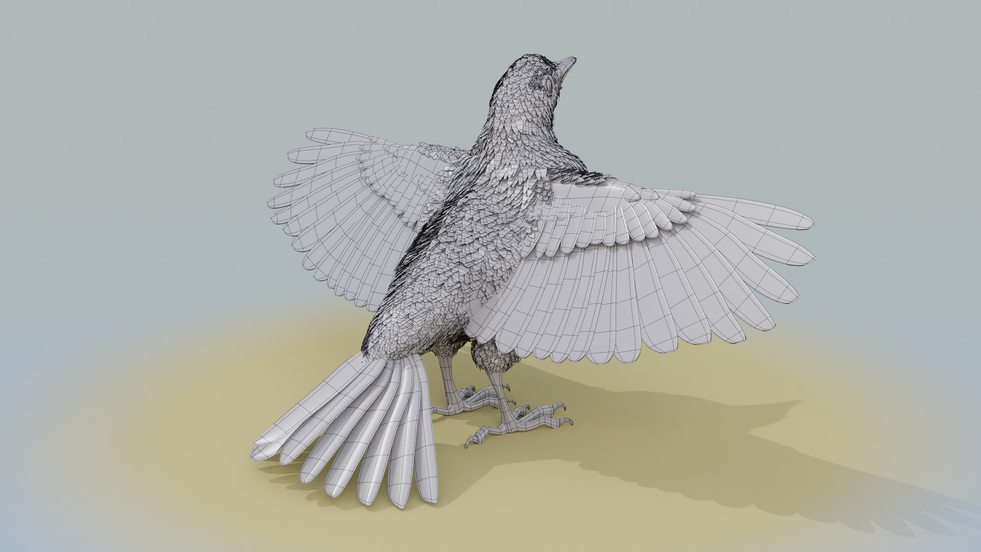 American Robin - BLENDER 3D Model - TurboSquid 2118146