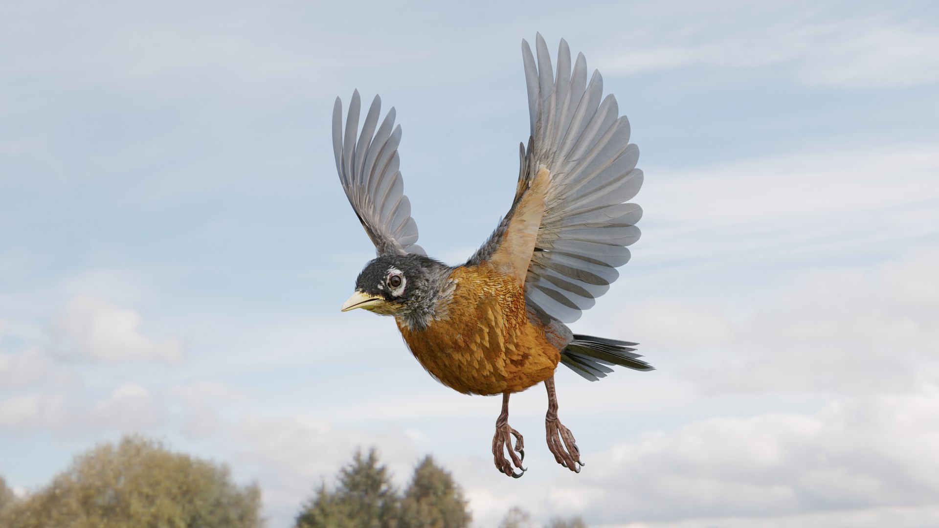 American Robin - BLENDER 3D Model - TurboSquid 2118146