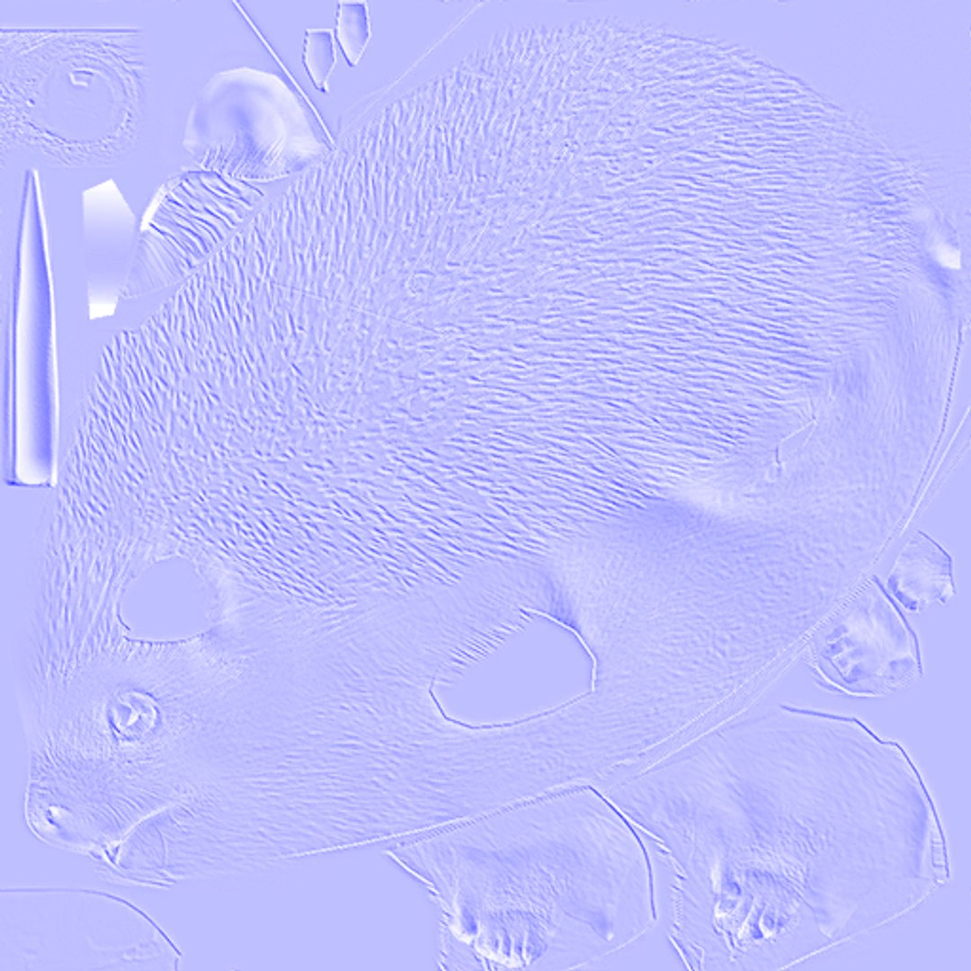 Hedgehog 3D Model - TurboSquid 2369875