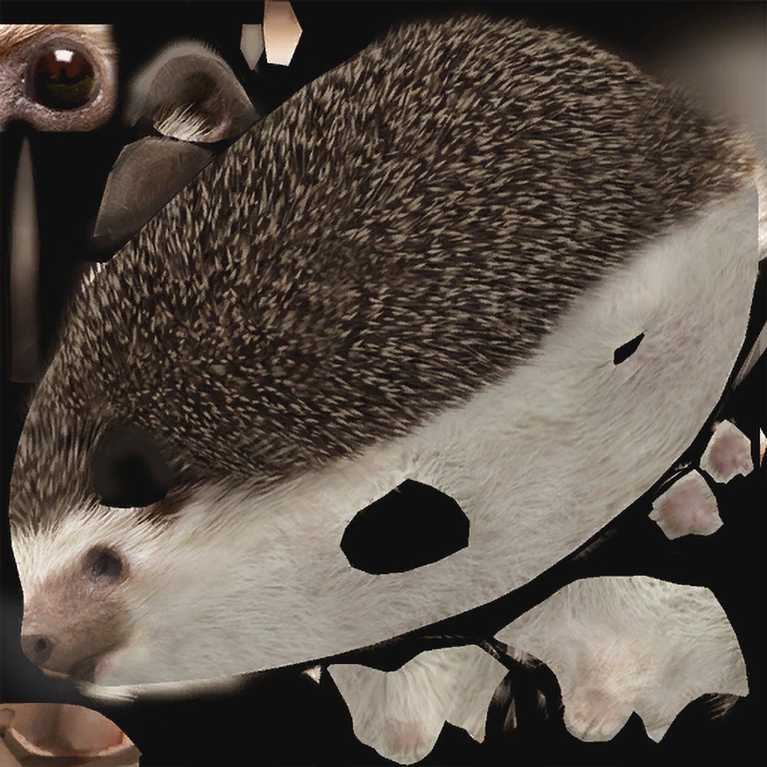 Hedgehog 3D Model - TurboSquid 2369875