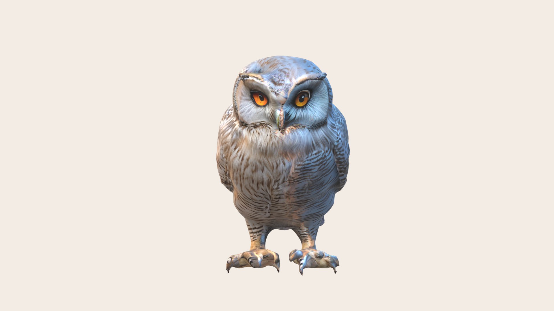 3D Owl Model - TurboSquid 2198463