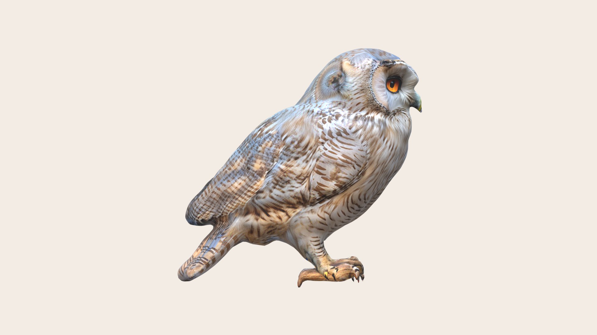 3D Owl Model - TurboSquid 2198463