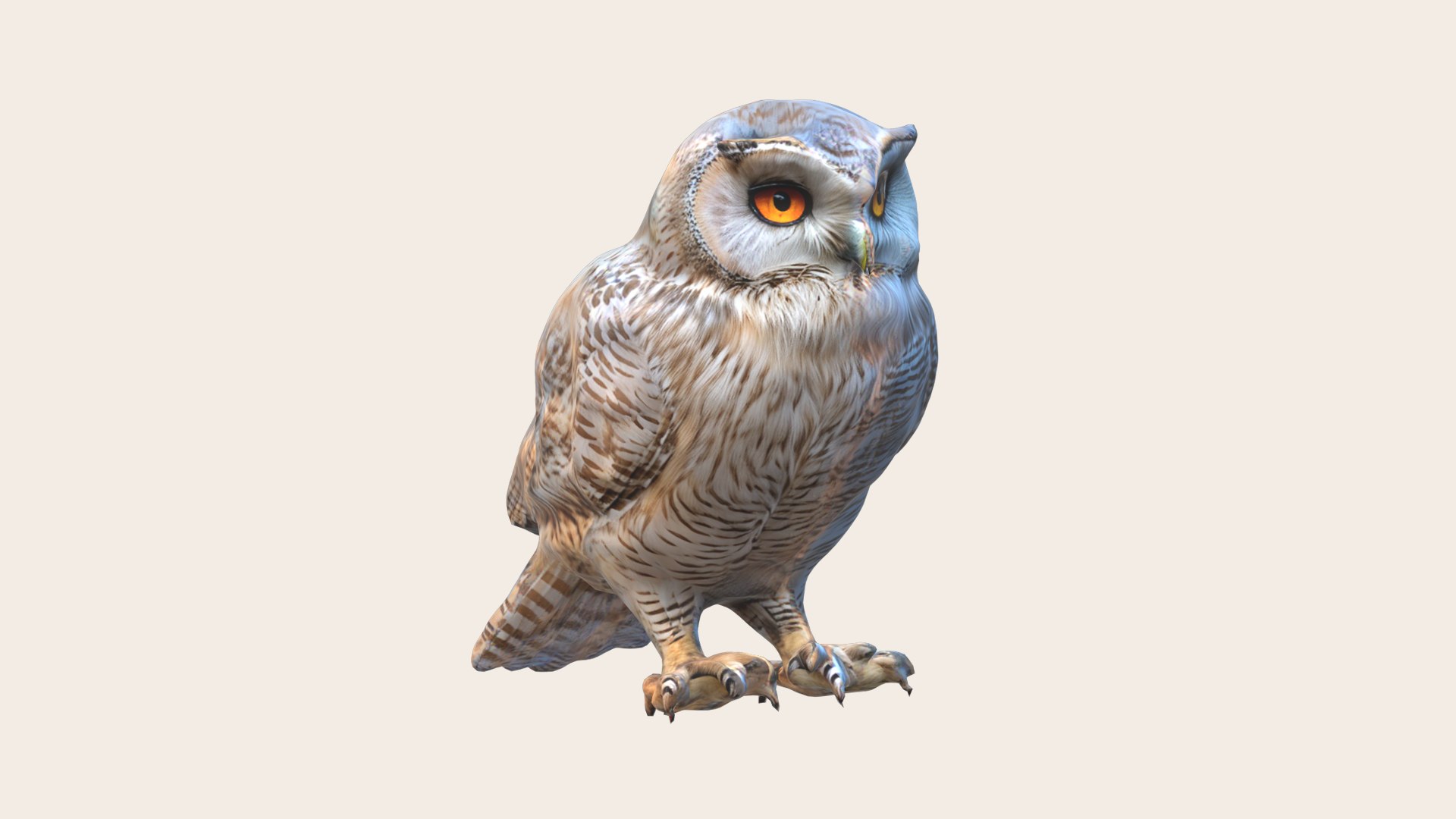 3D Owl Model - TurboSquid 2198463