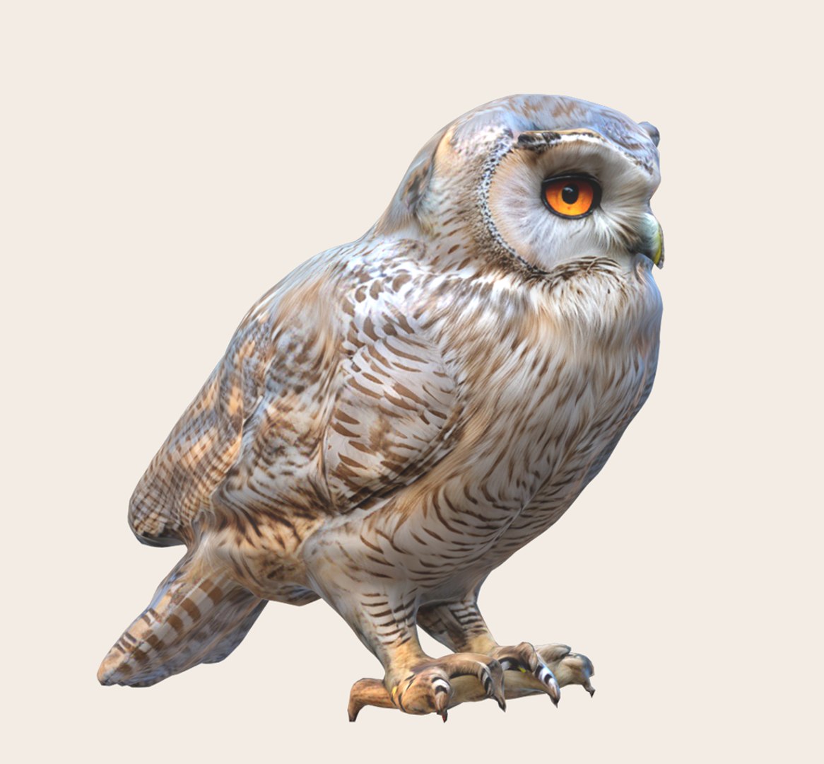 3D Owl Model - TurboSquid 2198463