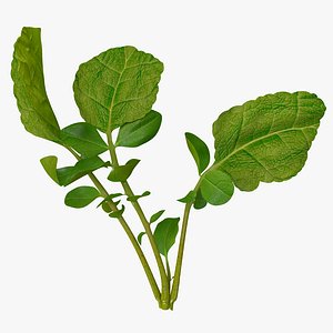 Low Poly Radish 3D Models With Enhanced License Tiers For Download ...