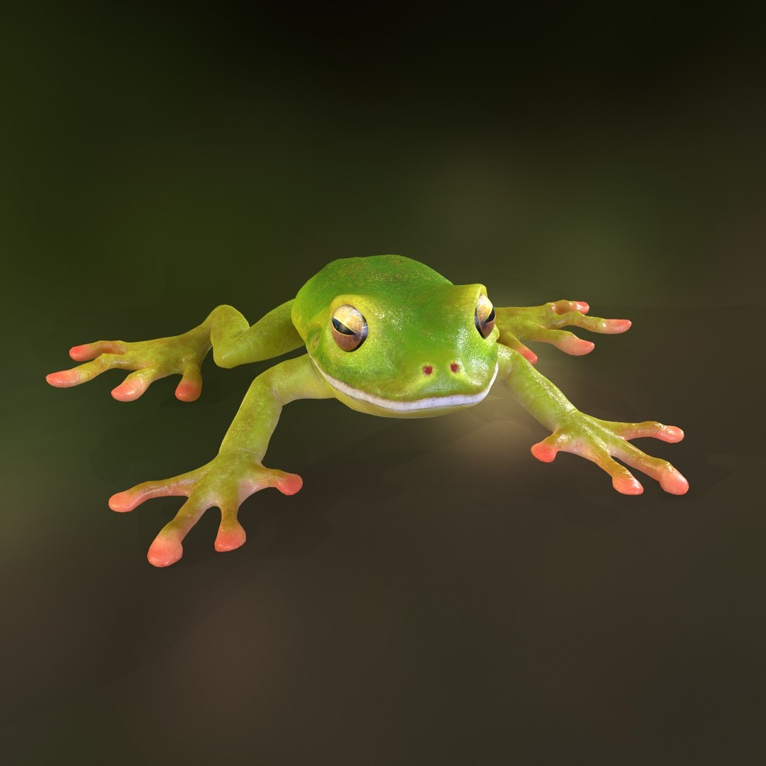 3D frog - TurboSquid 1321142