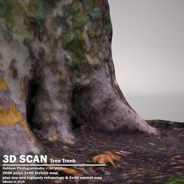 modelo 3d DBuzzi 3D Scan Tree Trunk C - TurboSquid 897540