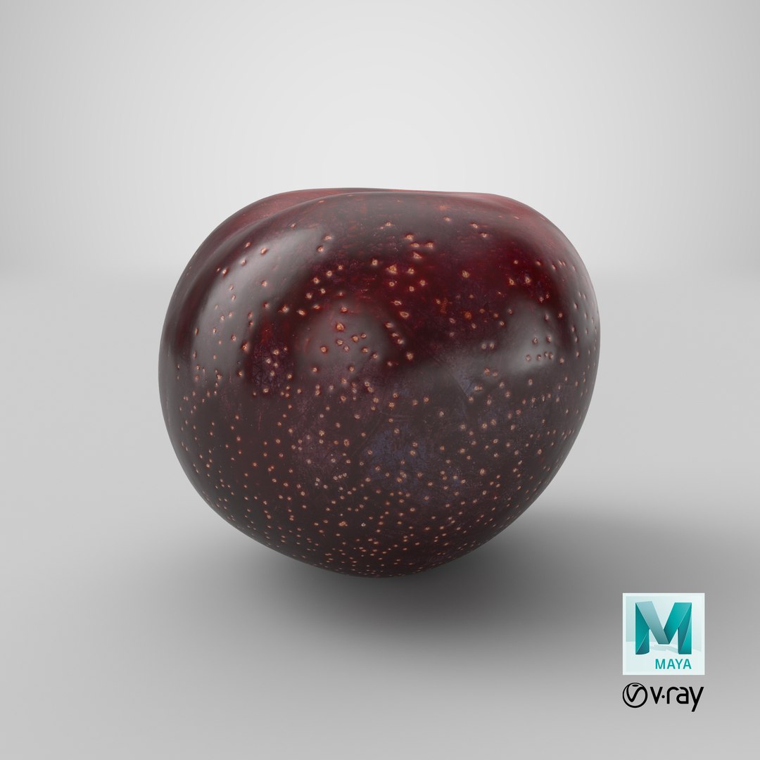 3D Model Plum 2 - TurboSquid 2057655