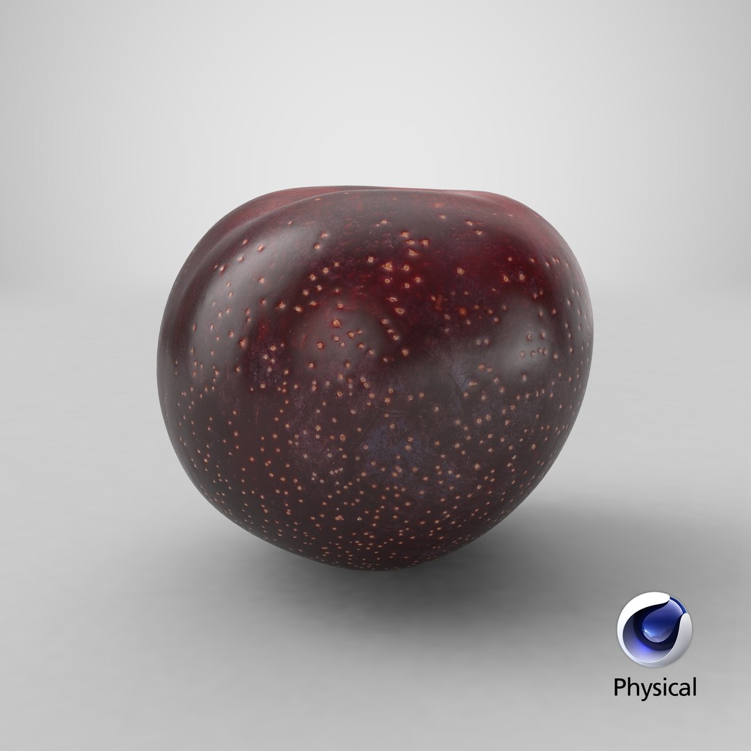 3D Model Plum 2 - TurboSquid 2057655