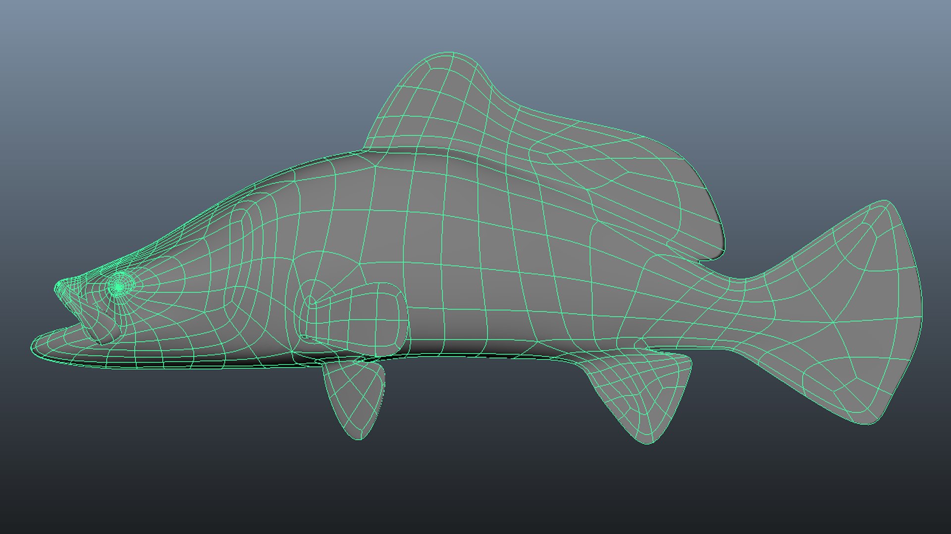 3D Barramundi Lates Calcarifer Model - TurboSquid 1864333