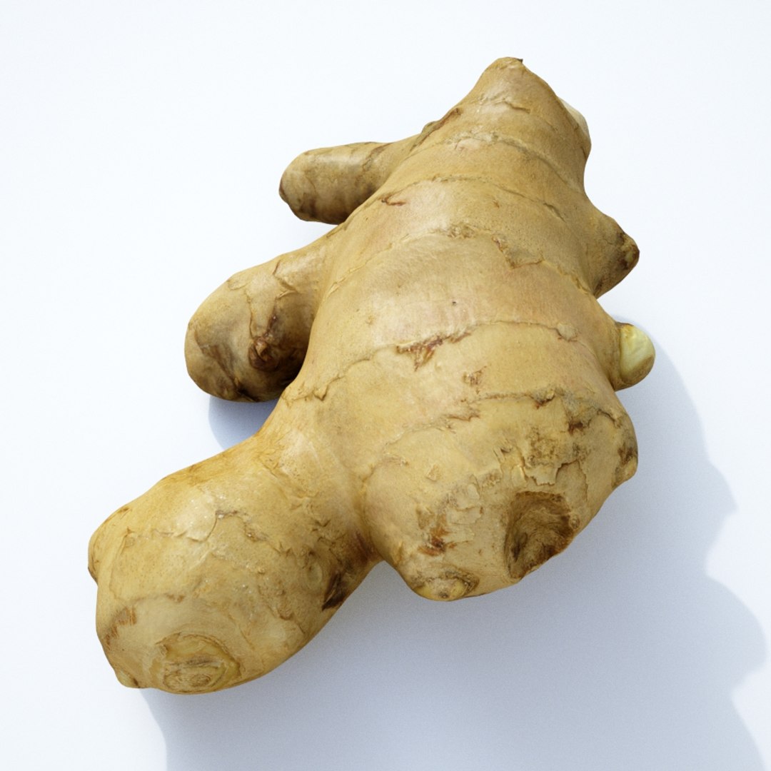 Ginger Root 3D Model - TurboSquid 1445158