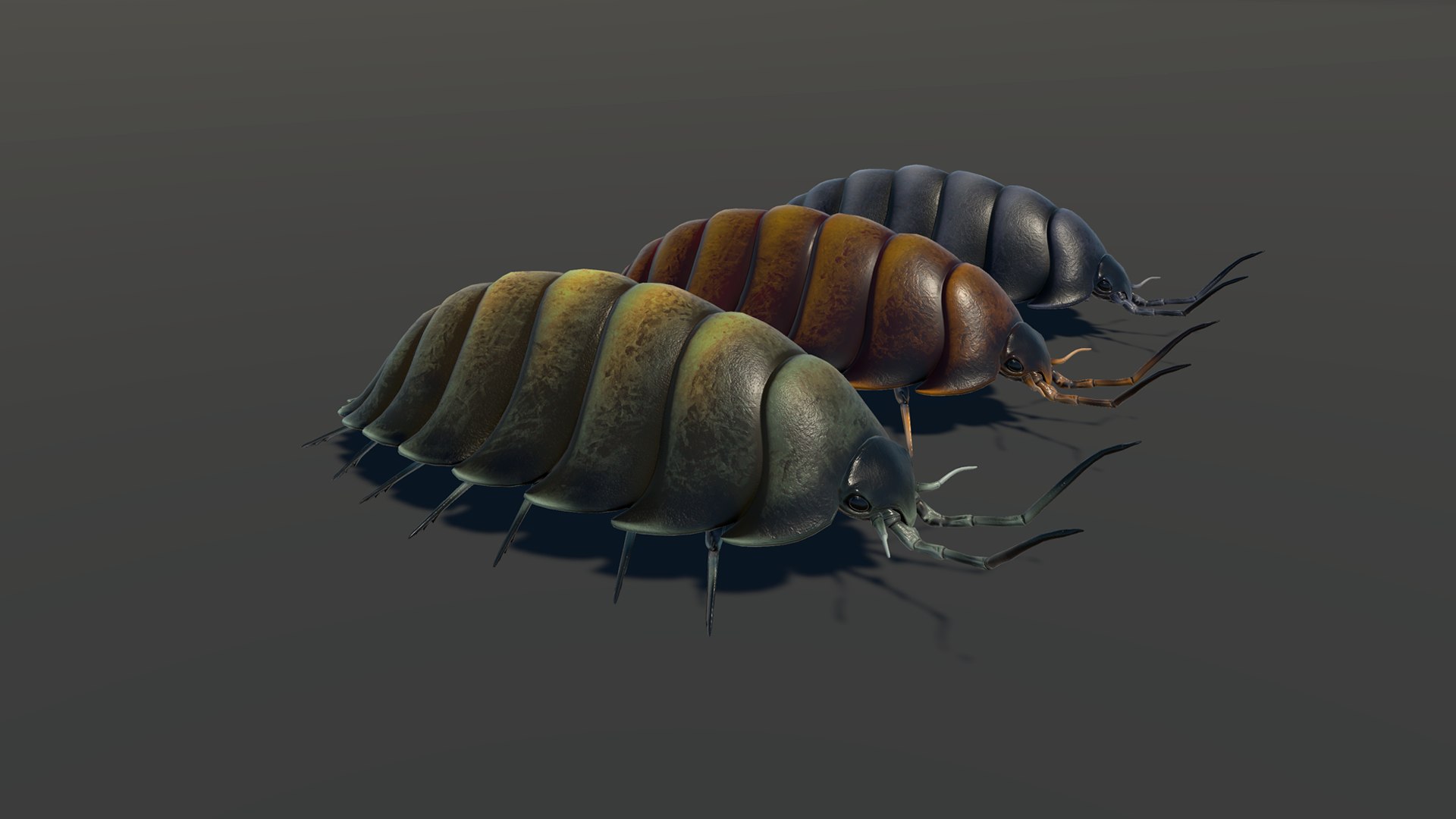 3D Woodlouse Insect1 Model - TurboSquid 2126207