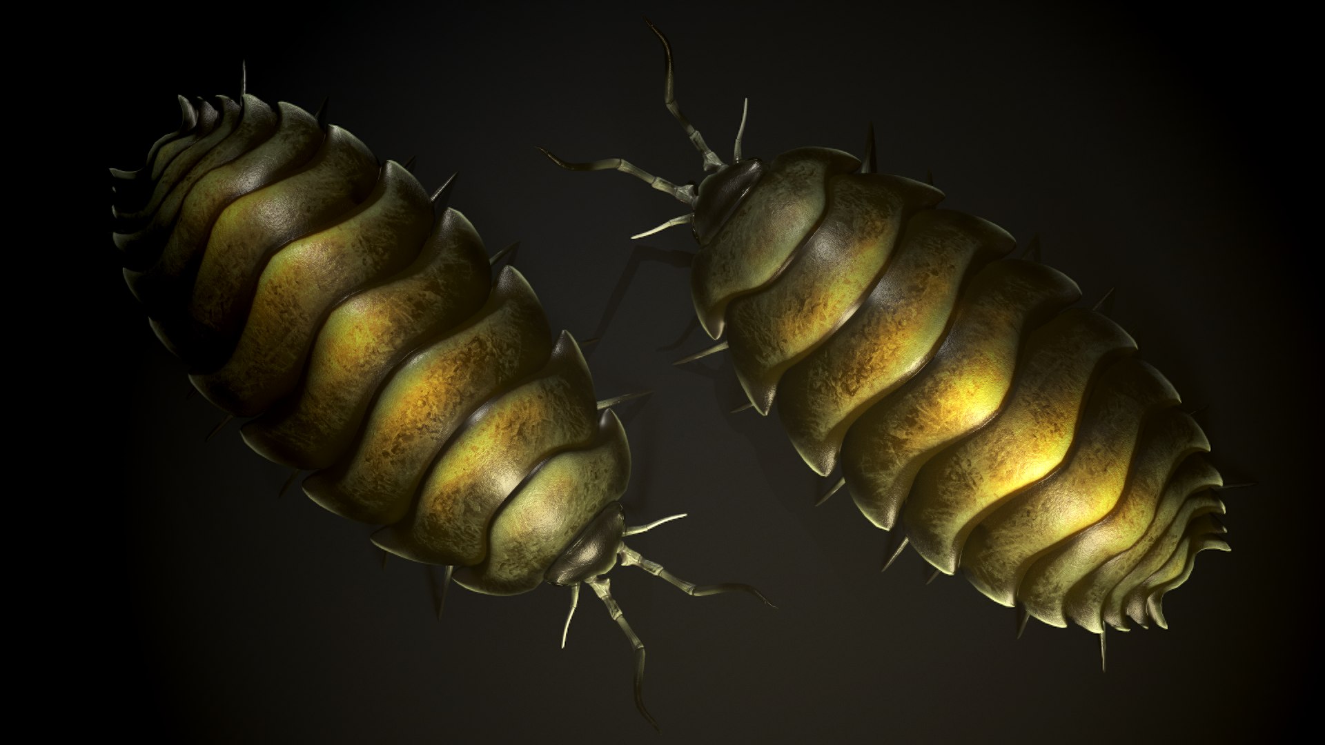 3D Woodlouse Insect1 Model - TurboSquid 2126207