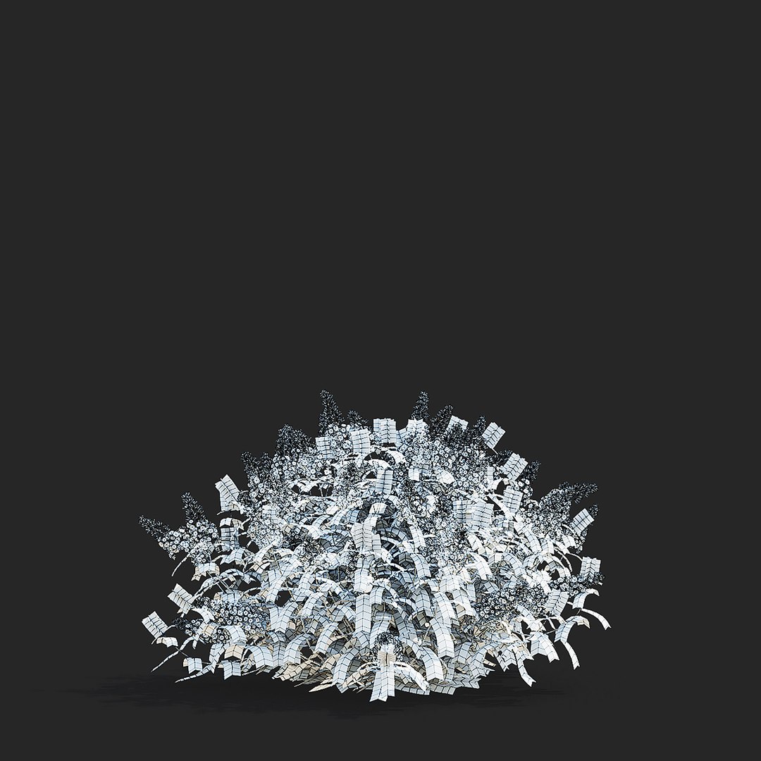 3D Buddleja Davidii Bushes 2 Model - TurboSquid 2074309