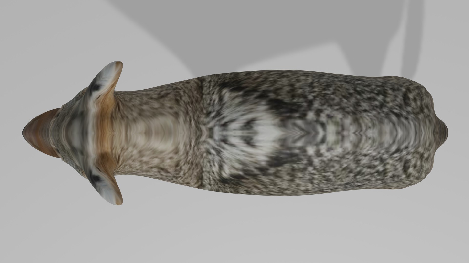 3D Realistic Coyote OBJ - TurboSquid 2216842