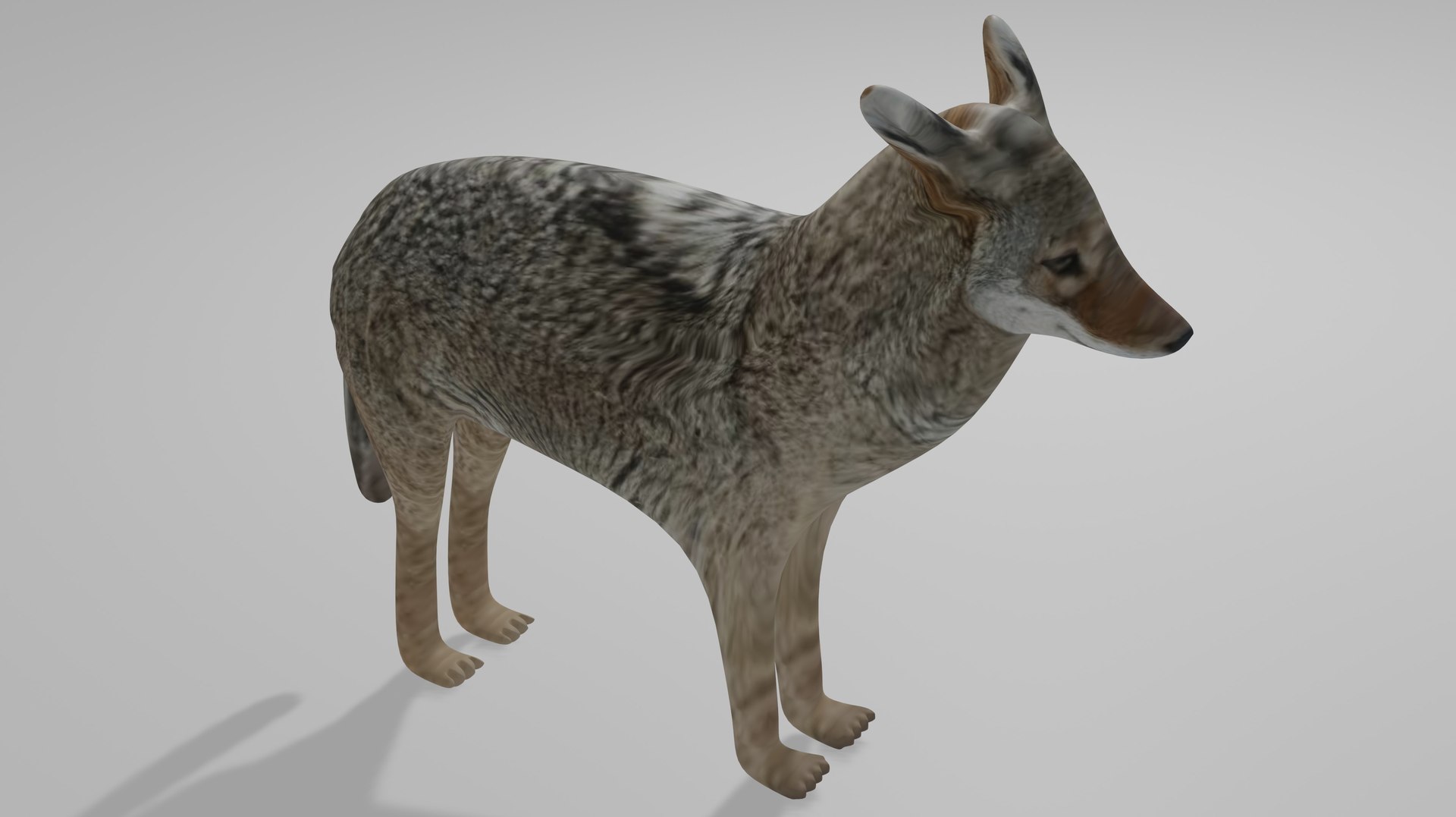3D Realistic Coyote OBJ - TurboSquid 2216842