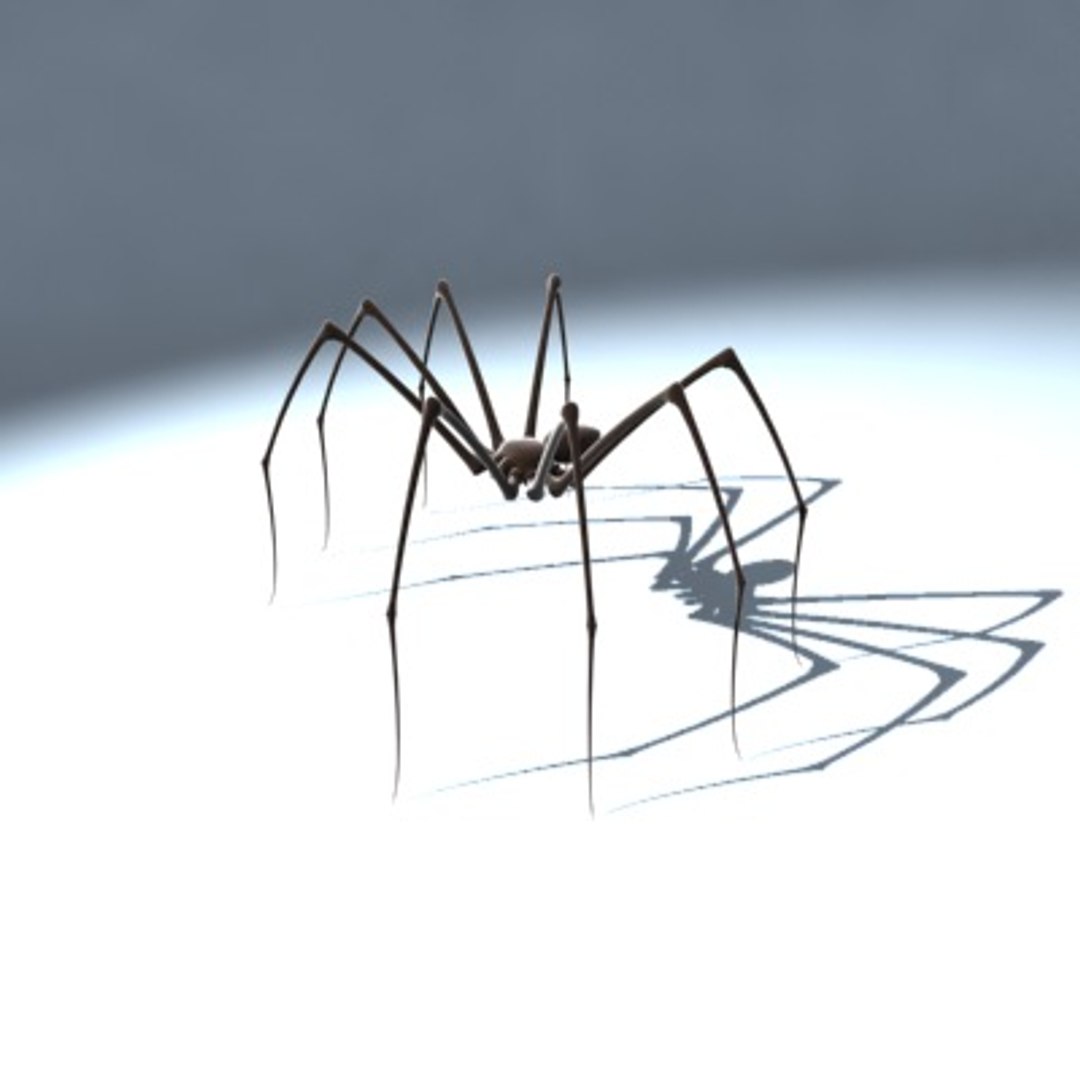 daddy longlegs spider 3d model