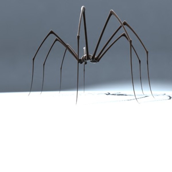 daddy longlegs spider 3d model