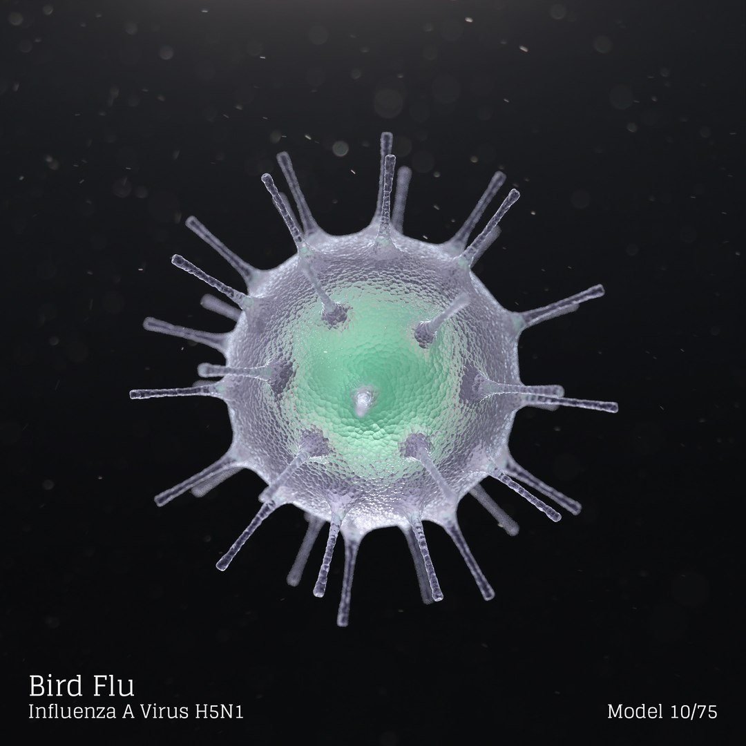 Microbes Micro Organisms 3D Model - TurboSquid 1626176
