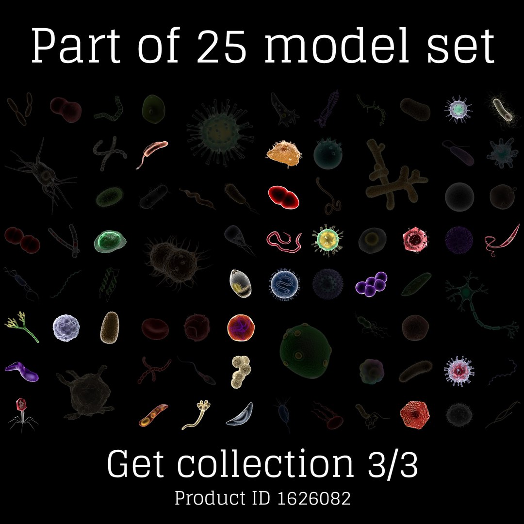 Microbes Micro Organisms 3D Model - TurboSquid 1626176