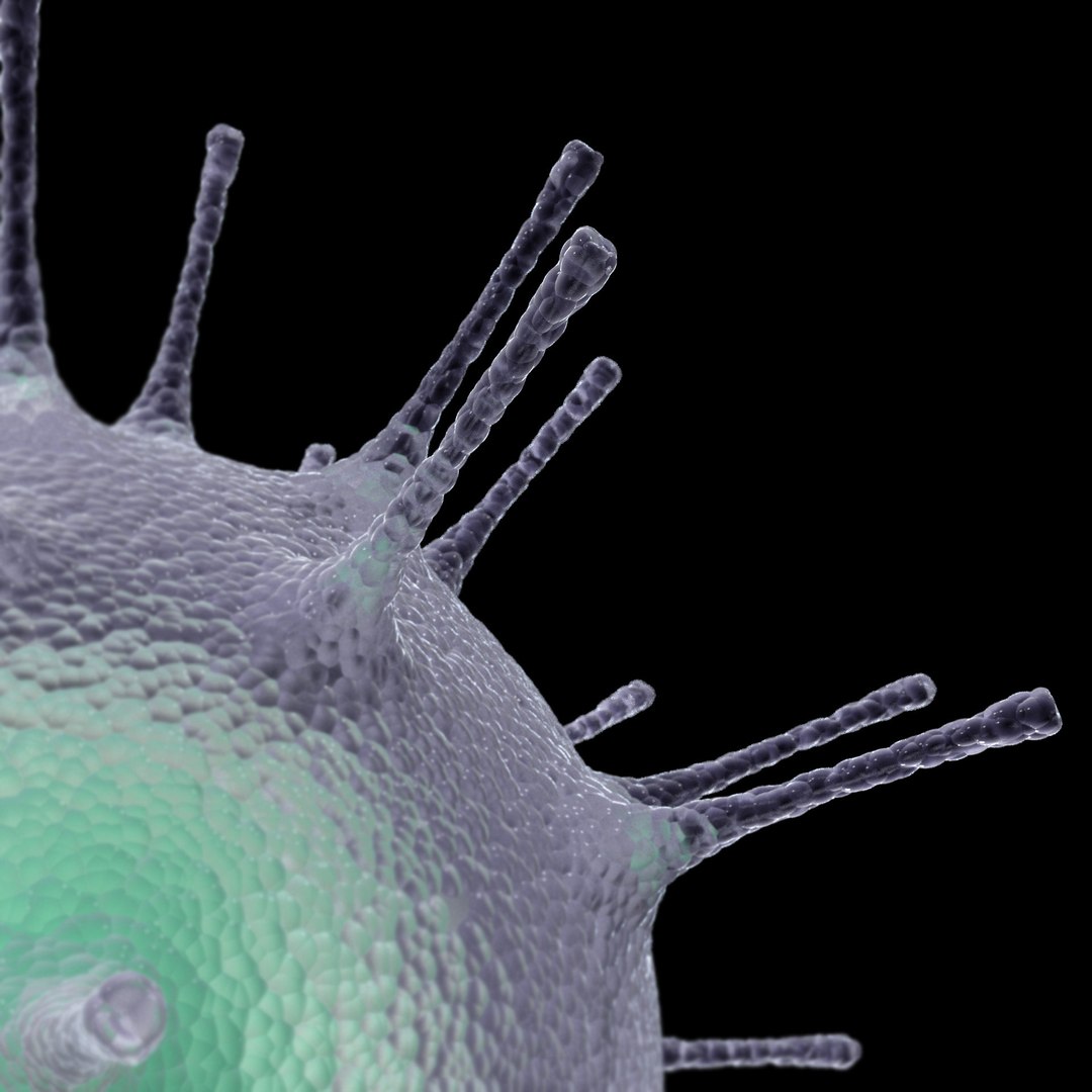 Microbes Micro Organisms 3D Model - TurboSquid 1626176