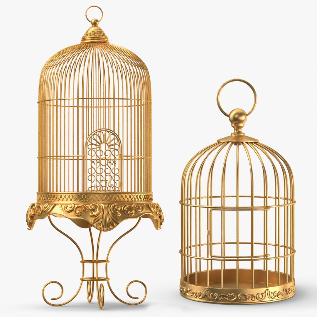Bird Cage Collection 3D Model - TurboSquid 2345362