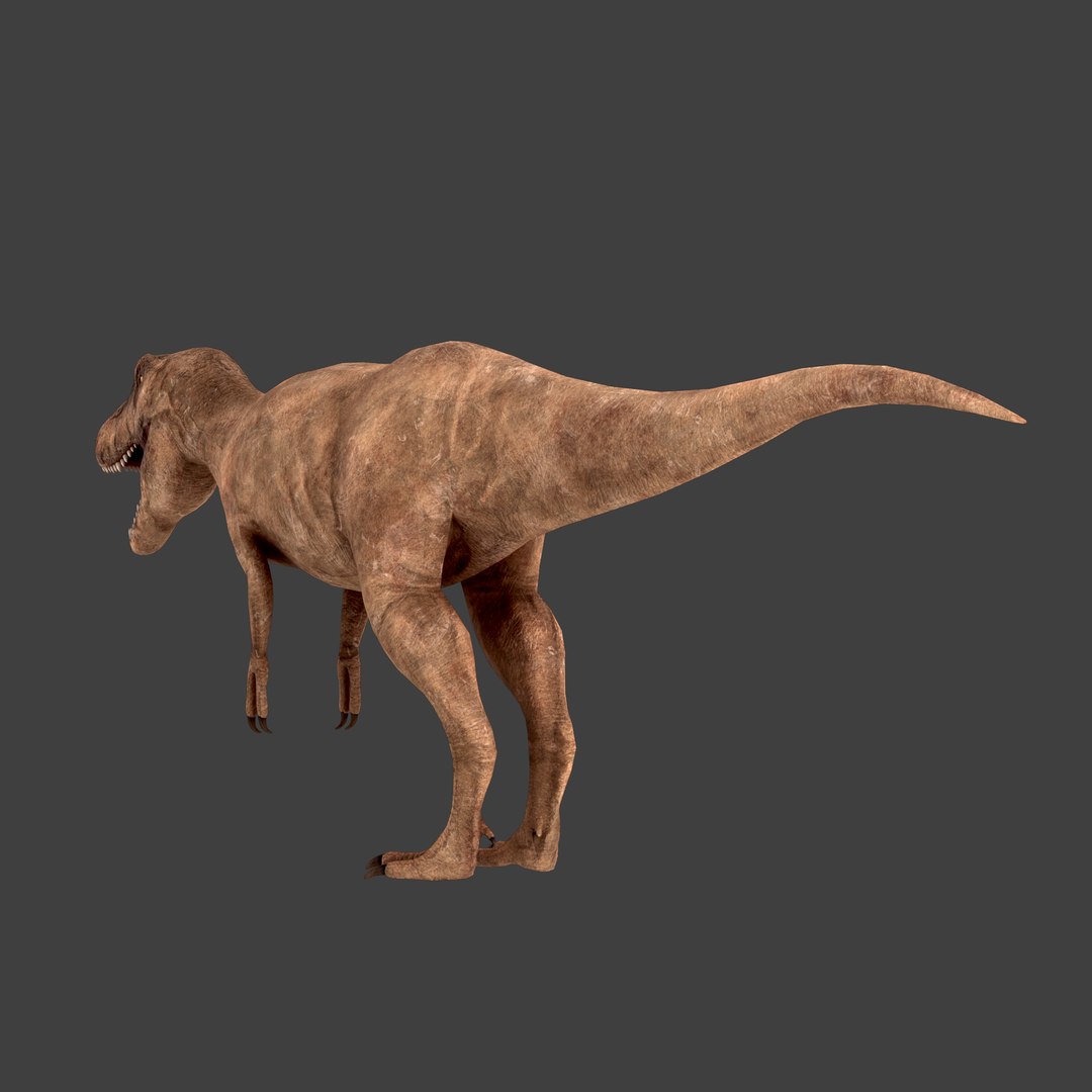 T Rex 3D Model - TurboSquid 1787587