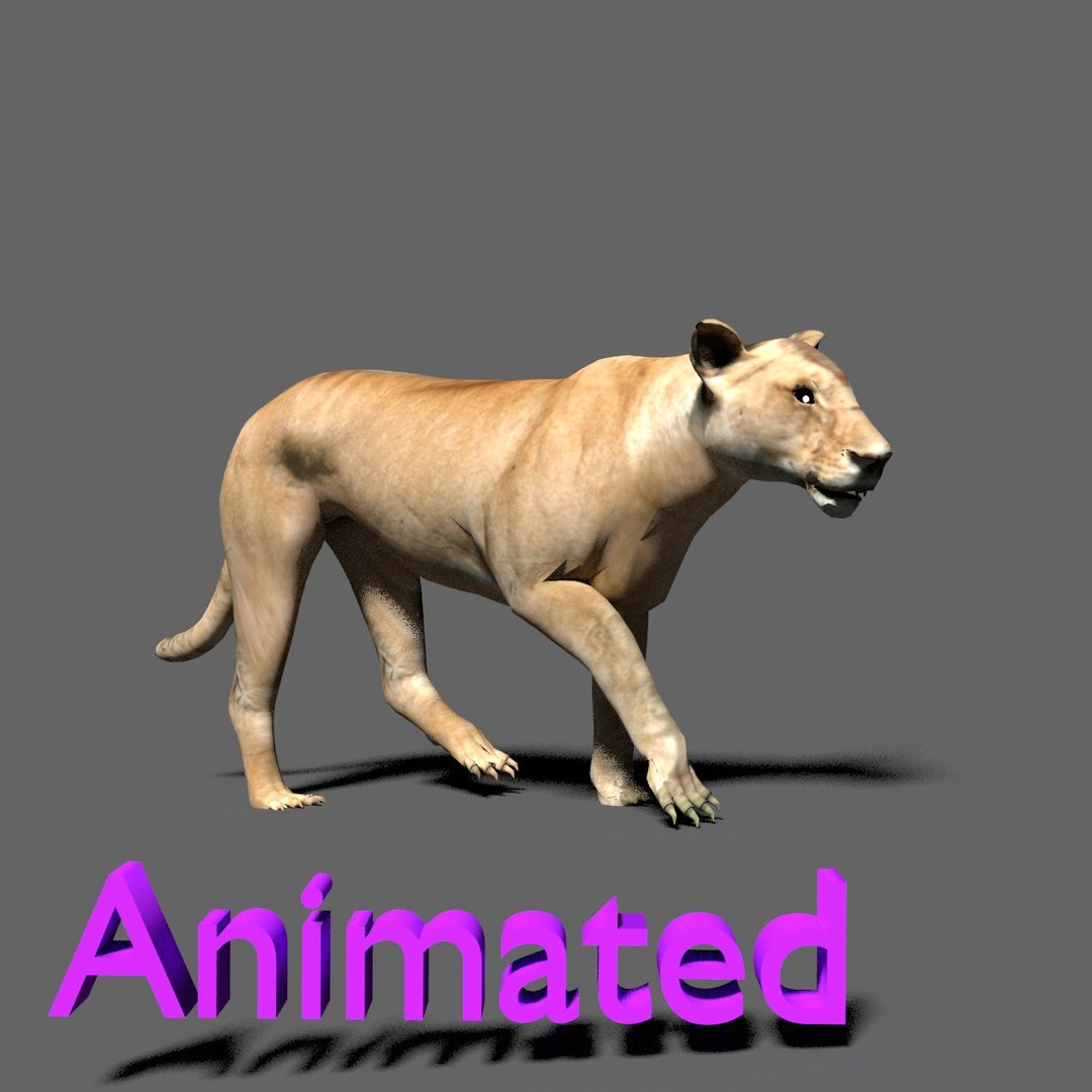 Lioness 3d Obj