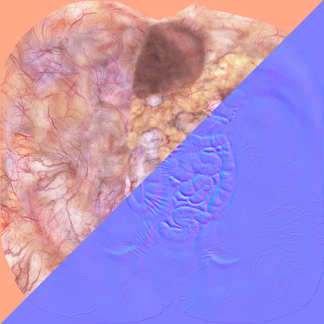 3D Abdominal Cavity Model - TurboSquid 1289299