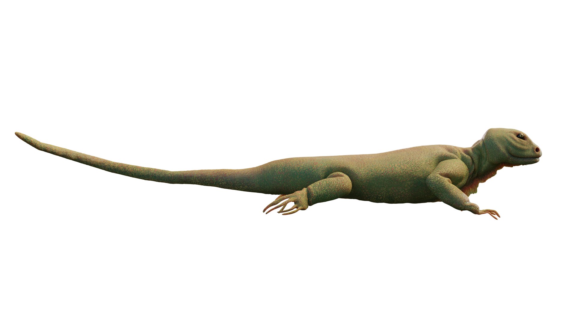 Lizard Model - TurboSquid 1860688