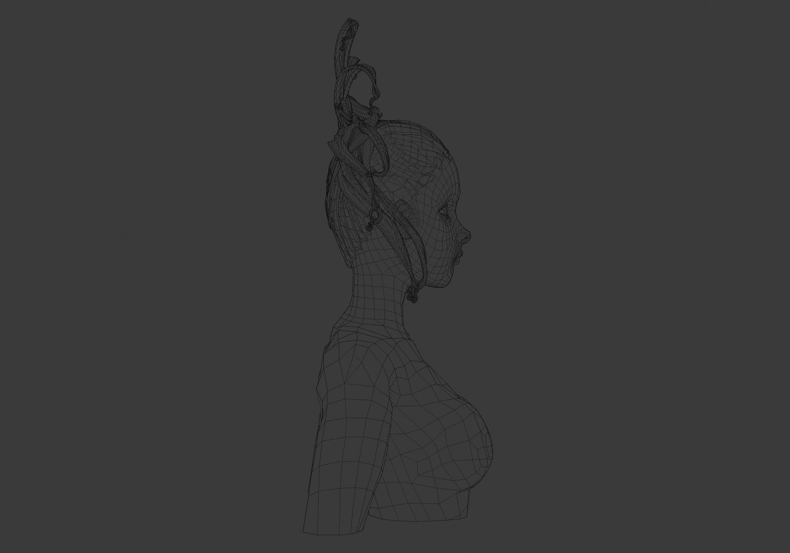 Ponytails Windy Hairstyle Model - TurboSquid 1964786