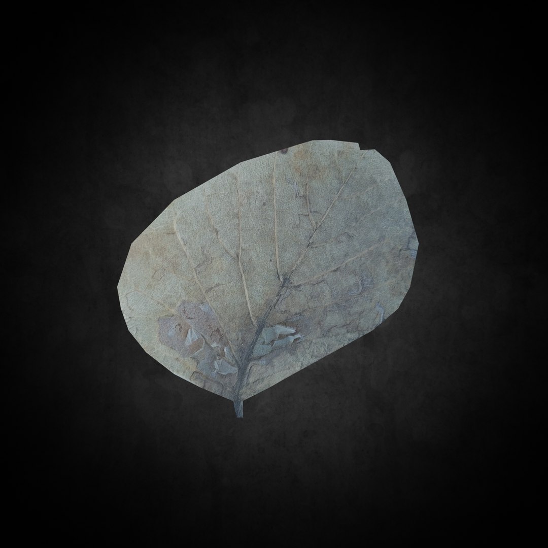 3D Low Poly Leaf 030 Model - TurboSquid 1852378
