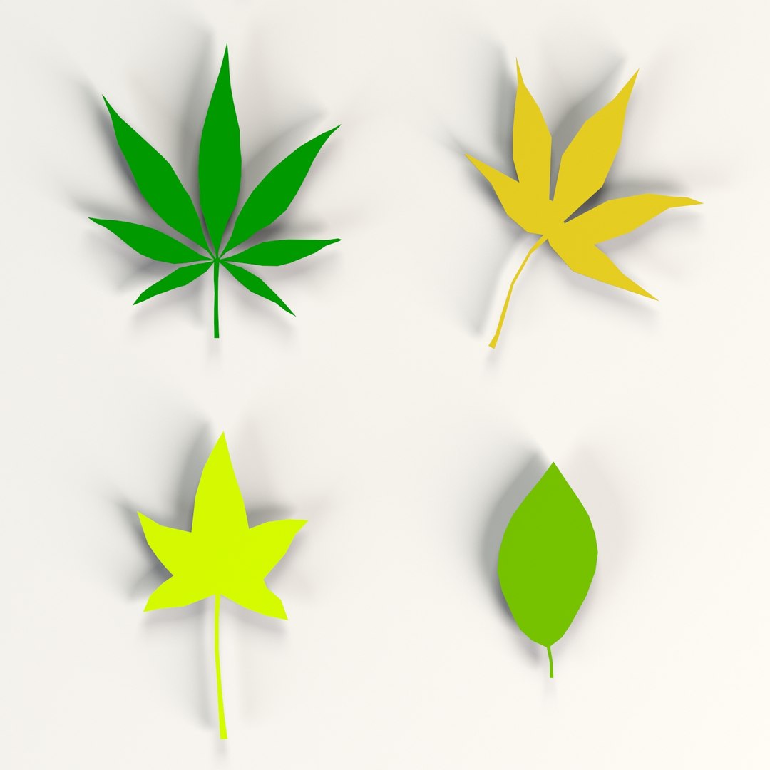 3d Model Of Tree Urban Leaf