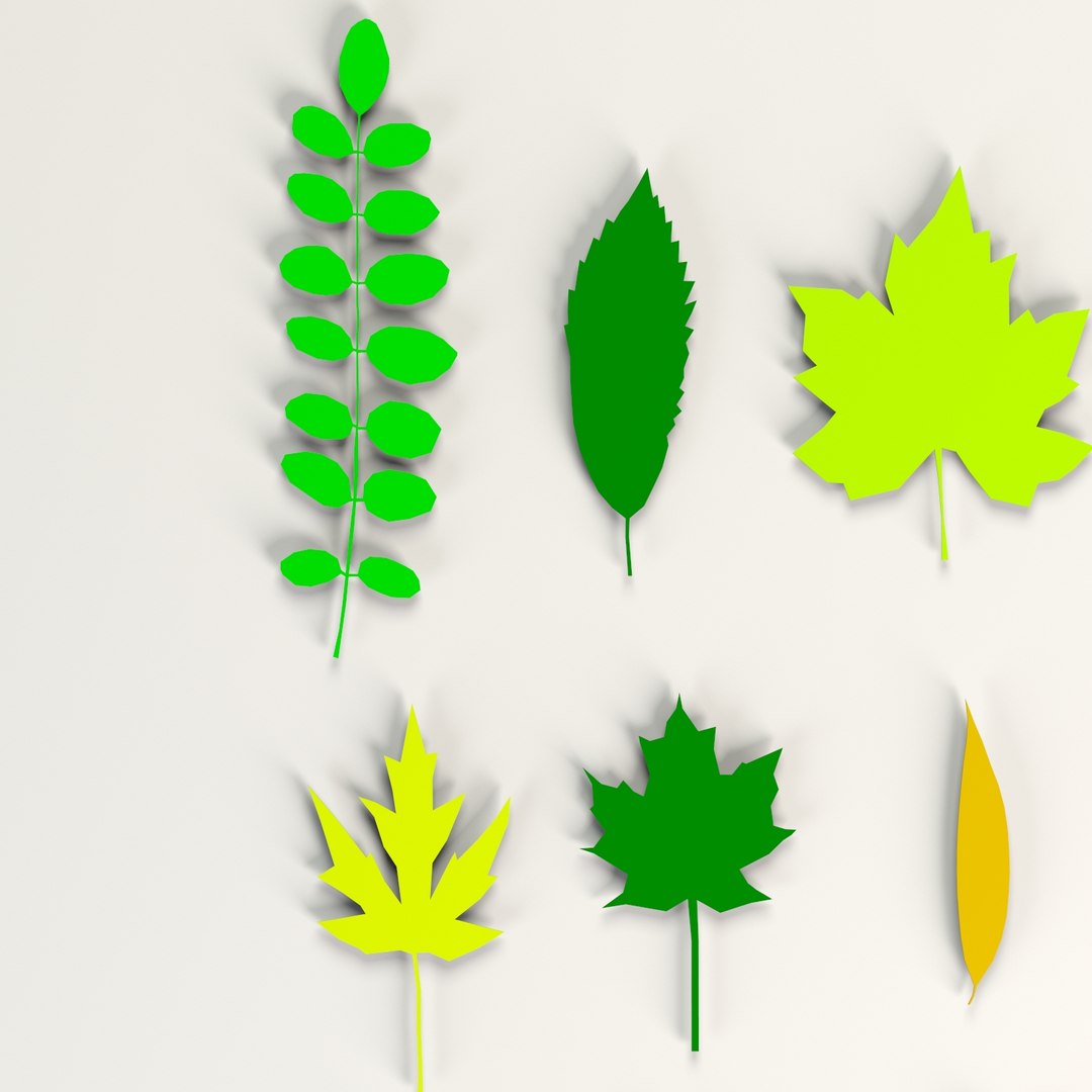3d Model Of Tree Urban Leaf