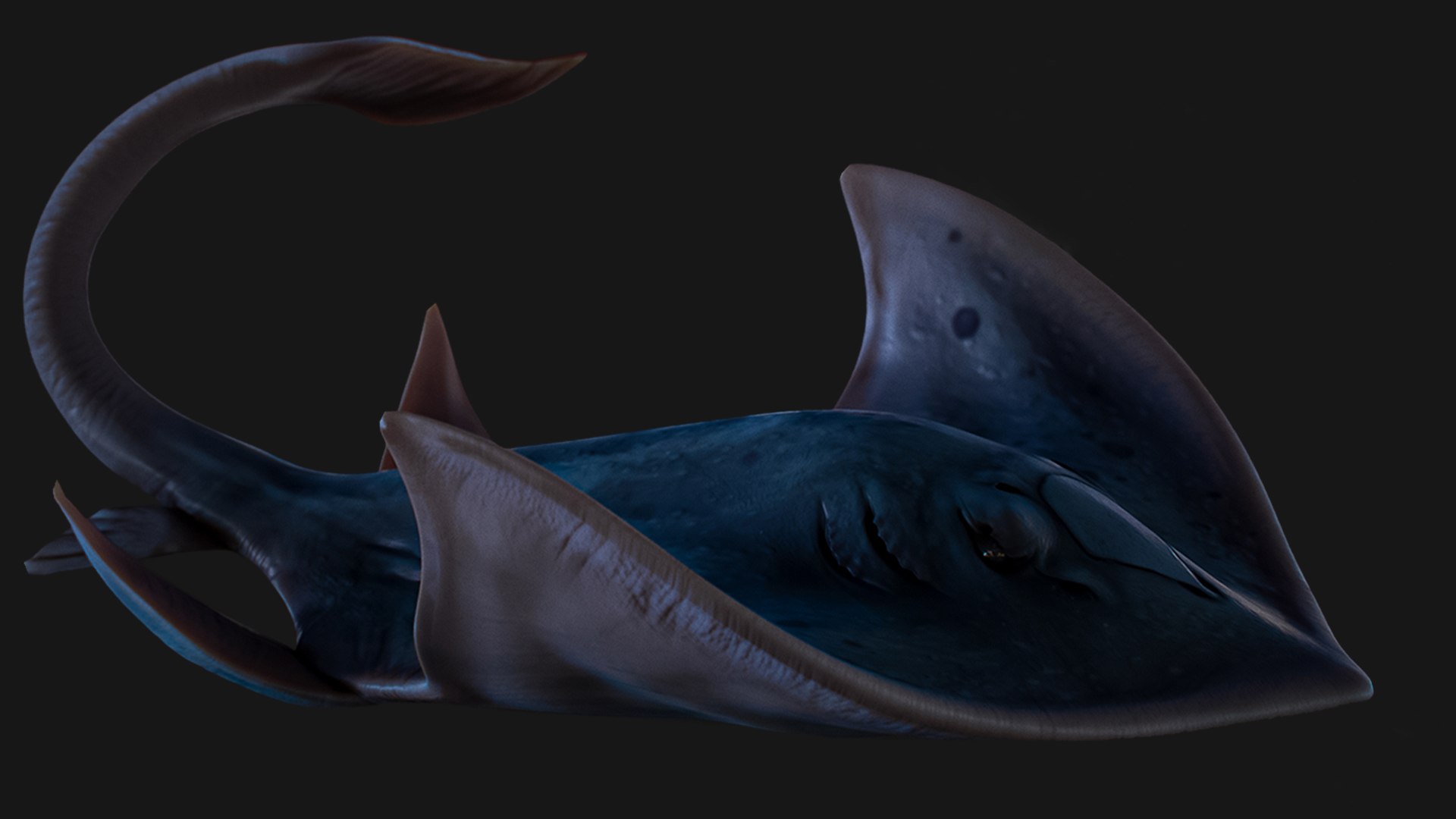 Stingray Lowpoly Art 3D - TurboSquid 2030683